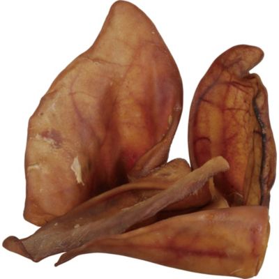 Oreille De Porc Pour Chien Danger