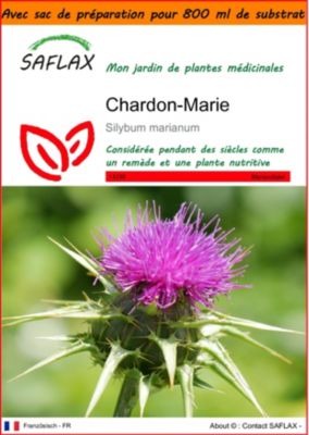 Garden in the bag - Chardon-Marie - 75 graines - Silybum - SAFLAX