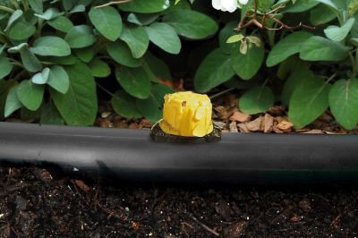 Goutteur réglable Ø4-6mm (25 pièces)