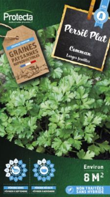 Graine de persil plat commun à larges feuilles Protecta | Castorama