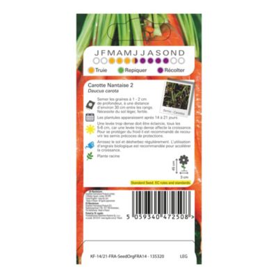 Graines de carotte bio variété "Nantaise 2" Verve semis de mars à juin