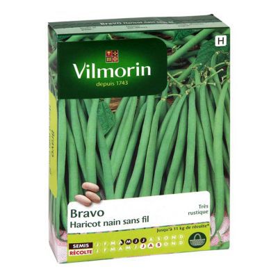 Graines de Haricot Bravo | Castorama