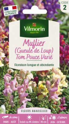 Graines de Muflier Tom Pouce Varié (Geule de Loup) Vilmorin | Castorama