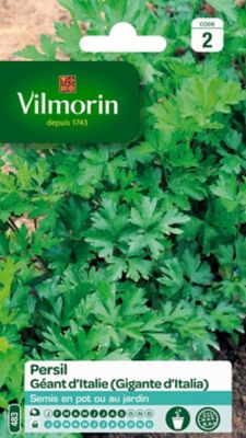 Graines de persil variété "Géant d'Italie" Vilmorin semis de février à ...