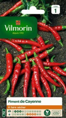 Graines de piment variété "Cayenne" Vilmorin semis de février à avril