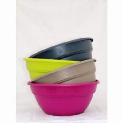 Kit de 3 plantes aquatiques en mini-bassin - Gris anthracite - Moerings