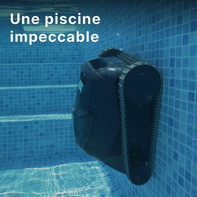 Liberty 100 - Aspirateur Piscine Sans Fil Dolphin