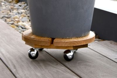 Louis Moulin Roule plante BOIS rond naturel - 30 cm - Bois