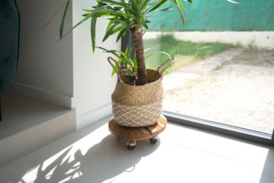 Louis Moulin Roule plante BOIS rond naturel - 30 cm - Bois