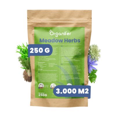 Mélange de Semences d'Herbes pour Prairie - 250 grammes pour 3000 m2 ...