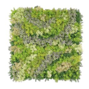 Mur végétal | Castorama