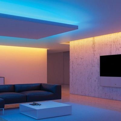 Néon Flexible RGB LED 50M 5050 220V 80LED/m - SILAMP | Castorama