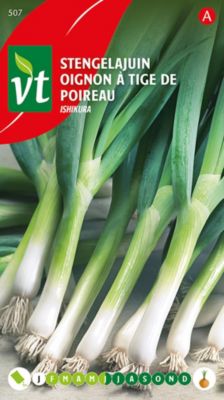 Oignon à Tige De Poireau Ishikura Long White - Ca. 3 gr