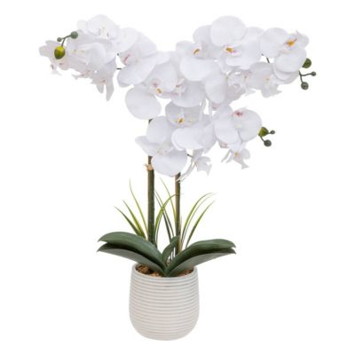 Orchidée artificielle "Riva" H60cm blanc - Atmosphera | Castorama