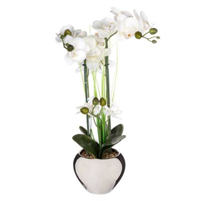 Orchidée artificielle - vase argent en céramique - H53 cm - Atmosphera | Castorama