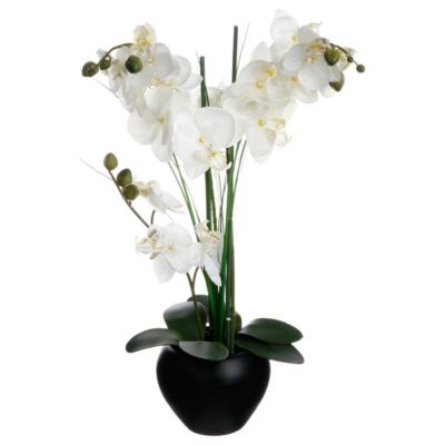 Orchidée artificielle - vase noir en céramique - H53 cm - Atmosphera | Castorama