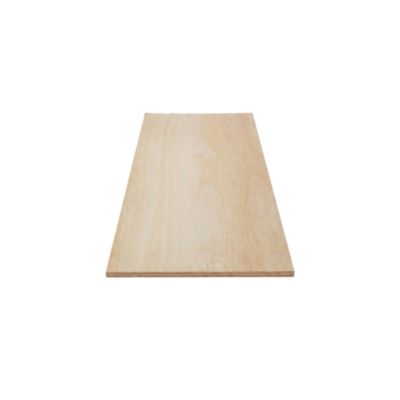 Panneau contreplaqué marine - 122 x 61 cm, ép. 10 mm (vendu au panneau)