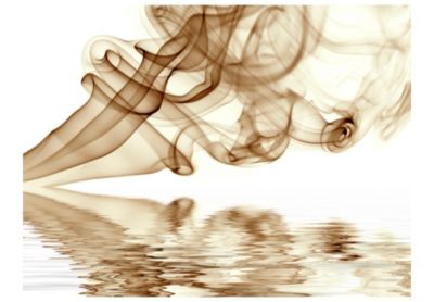 Papier peint intissé panoramique abstractions smoke curls 300x231 cm