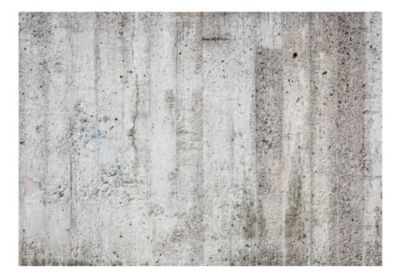Papier peint intissé panoramique grey emperor 100x70 cm