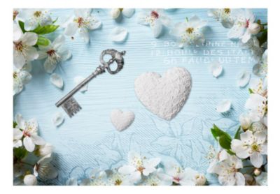 Papier peint intissé panoramique vintage et retro spring key 400x280 cm