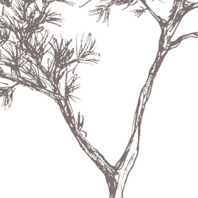 Papier peint panoramique Balade en bord de mer, Beige 525 x 250cm