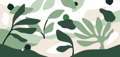 Papier peint panoramique Botanique, Vert 150 x 250cm