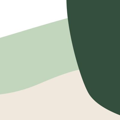Papier peint panoramique Botanique, Vert 375 x 250cm