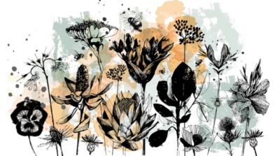 Papier peint panoramique Fleurs des Champs, Blanc 225 x 250cm