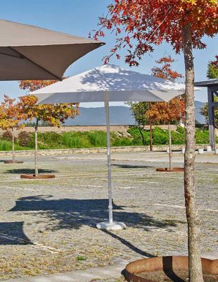 Parasol Ezpeleta Eolo blanc 250 x 250 cm