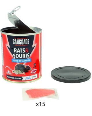Pat'appat rats et souris forte infestation Caussade 150g | Castorama