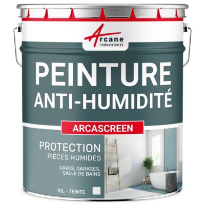 Peinture anti humidité mur humide salle de bain - ARCASCREEN - 10 L ...