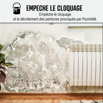 Peinture anti humidité mur humide salle de bain - ARCASCREEN - 10 L ...