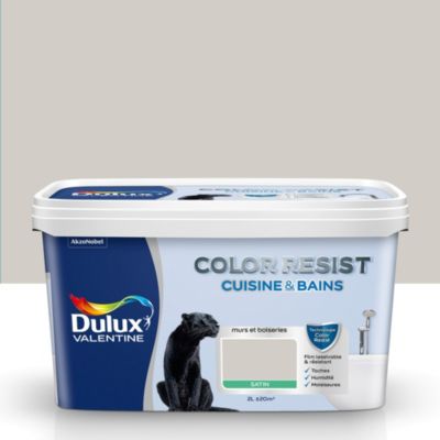 Peinture cuisine et salle de bains Dulux Valentine Color Resist galet ...
