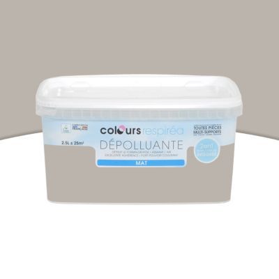 Peinture dépolluante cèpe mat 2,5L | Castorama
