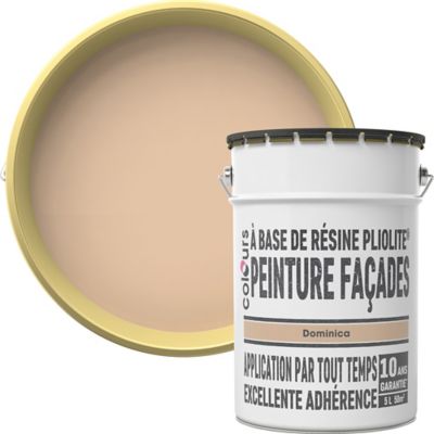 Peinture extérieure façade Pliolite Colours Dominica 5L