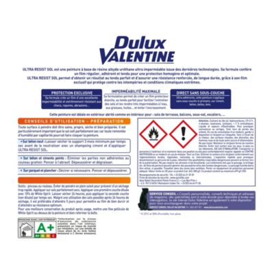 Peinture extérieure sol Dulux Valentine Ultra Resist satin 2,5L ciel d ...