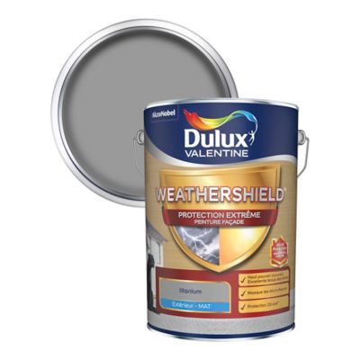 Peinture façade protection extrême Dulux Valentine gris titanium 5L ...