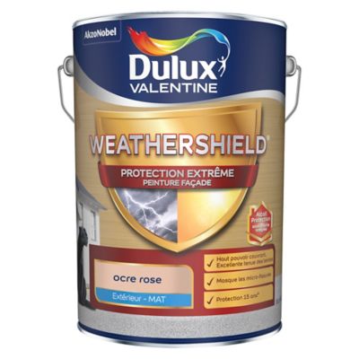 Peinture façade Weathershield Protection Extrême Dulux Valentine mat ...