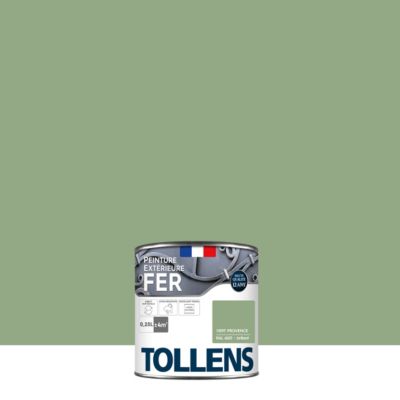 Peinture fer extérieur vert provence RAL 6021 brillant Tollens 250 ml