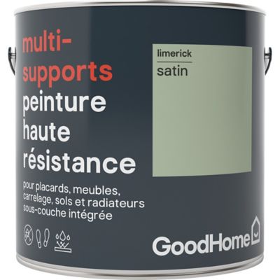 Peinture haute résistance multi-supports GoodHome vert Limerick satin ...