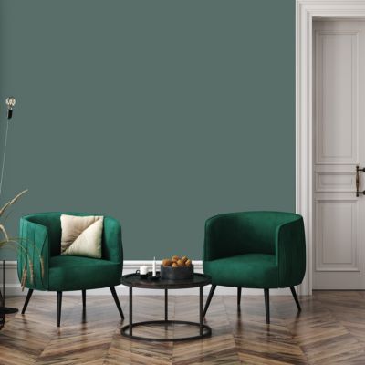 Peinture murs, boiseries et radiateurs vert treillis mat Tollens ...