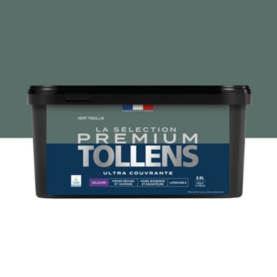 Peinture murs, boiseries et radiateurs vert treillis velours Tollens ...