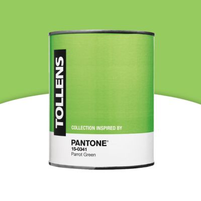 Peinture murs et boiseries Parrot Green 1L | Castorama