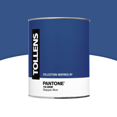 Peinture murs et boiseries Skipper Blue 1L | Castorama