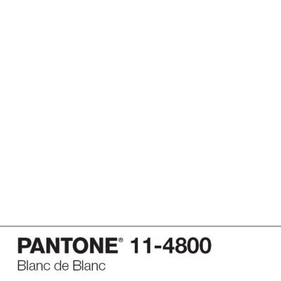 Peinture murs et boiseries Tollens Pantone 11-4800 blanc satin 2L ...