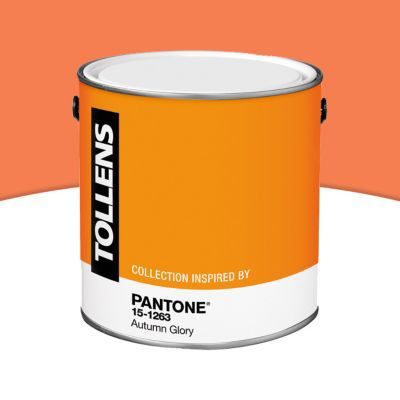 Peinture murs et boiseries Tollens Pantone 15-1263 automn glory satin ...