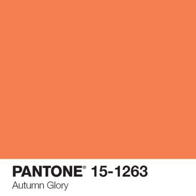 Peinture murs et boiseries Tollens Pantone 15-1263 automn glory satin ...