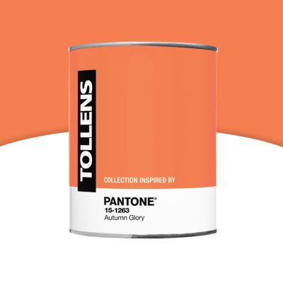 Peinture murs et boiseries Tollens Pantone 15-1263 autumn glory satin ...