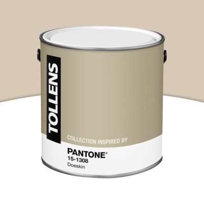 Peinture murs et boiseries Tollens Pantone 15-1308 doeskin satin 2L