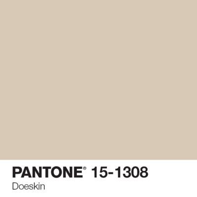 Peinture murs et boiseries Tollens Pantone 15-1308 doeskin satin 2L ...